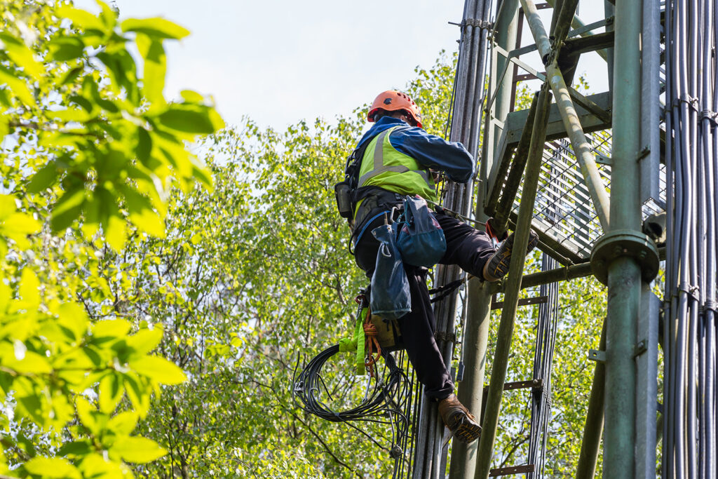 Welcome to MLL Telecom - MLL Telecom